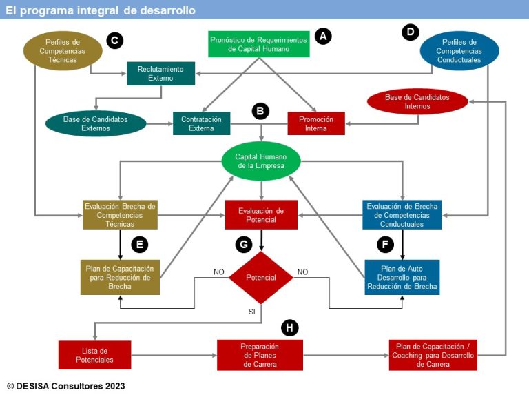 Un modelo integral de desarrollo del talento - DESISA